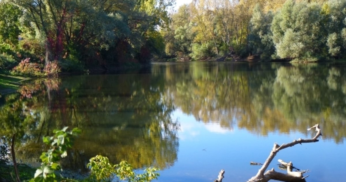Wasserqualität in Badegewässern | Site-Wurzel